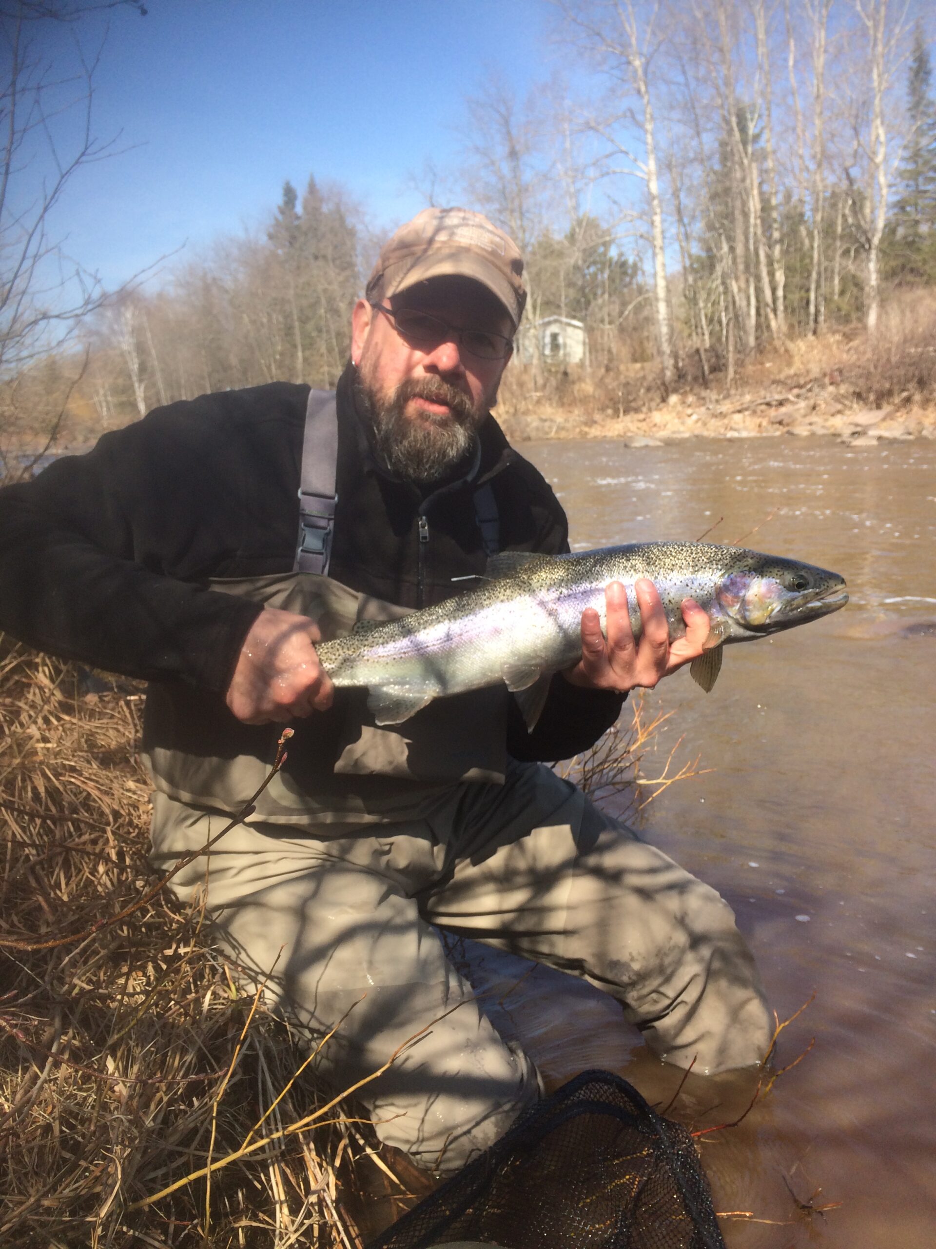 Fish ID’s – Minnesota Steelheader